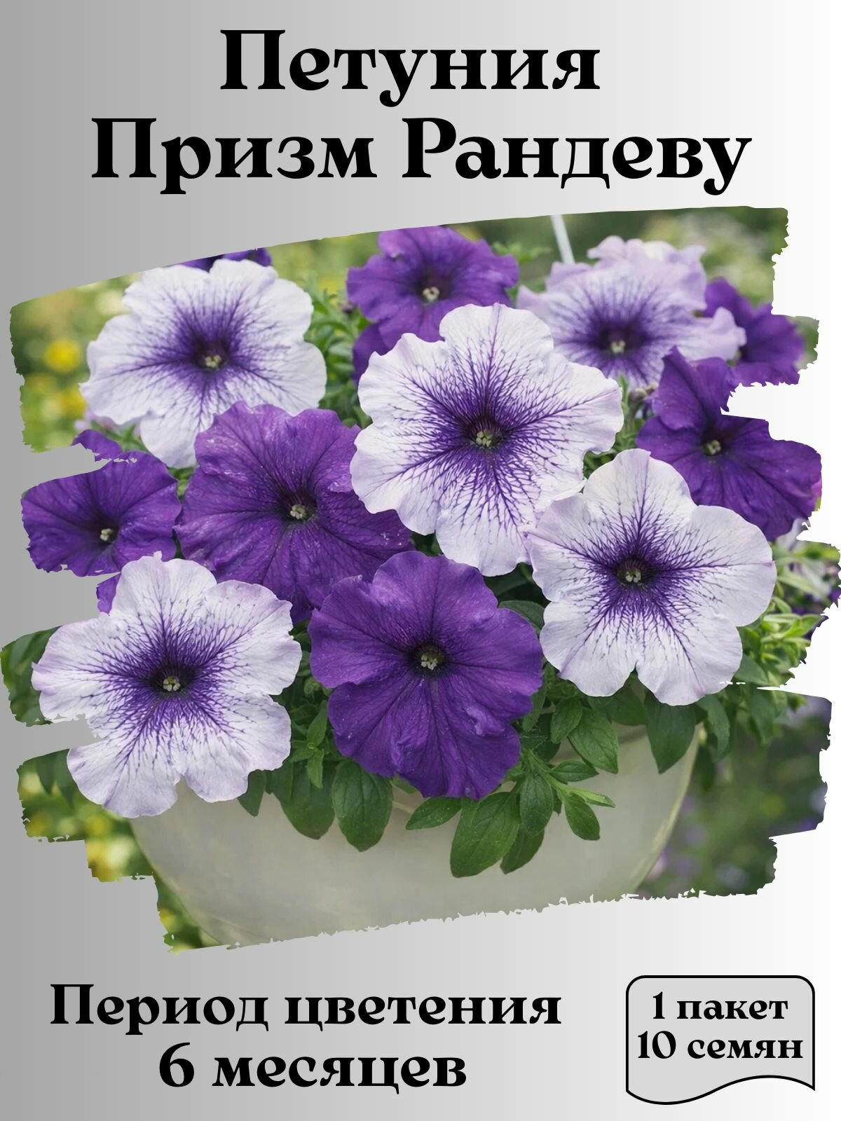Петуния Призм Рандеву, семена, 10 шт.
