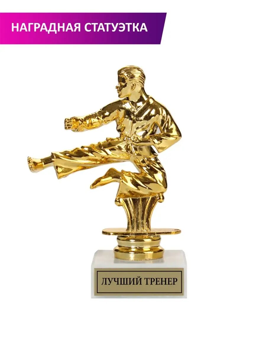 Статуэтка Каратист "Лучший тренер"