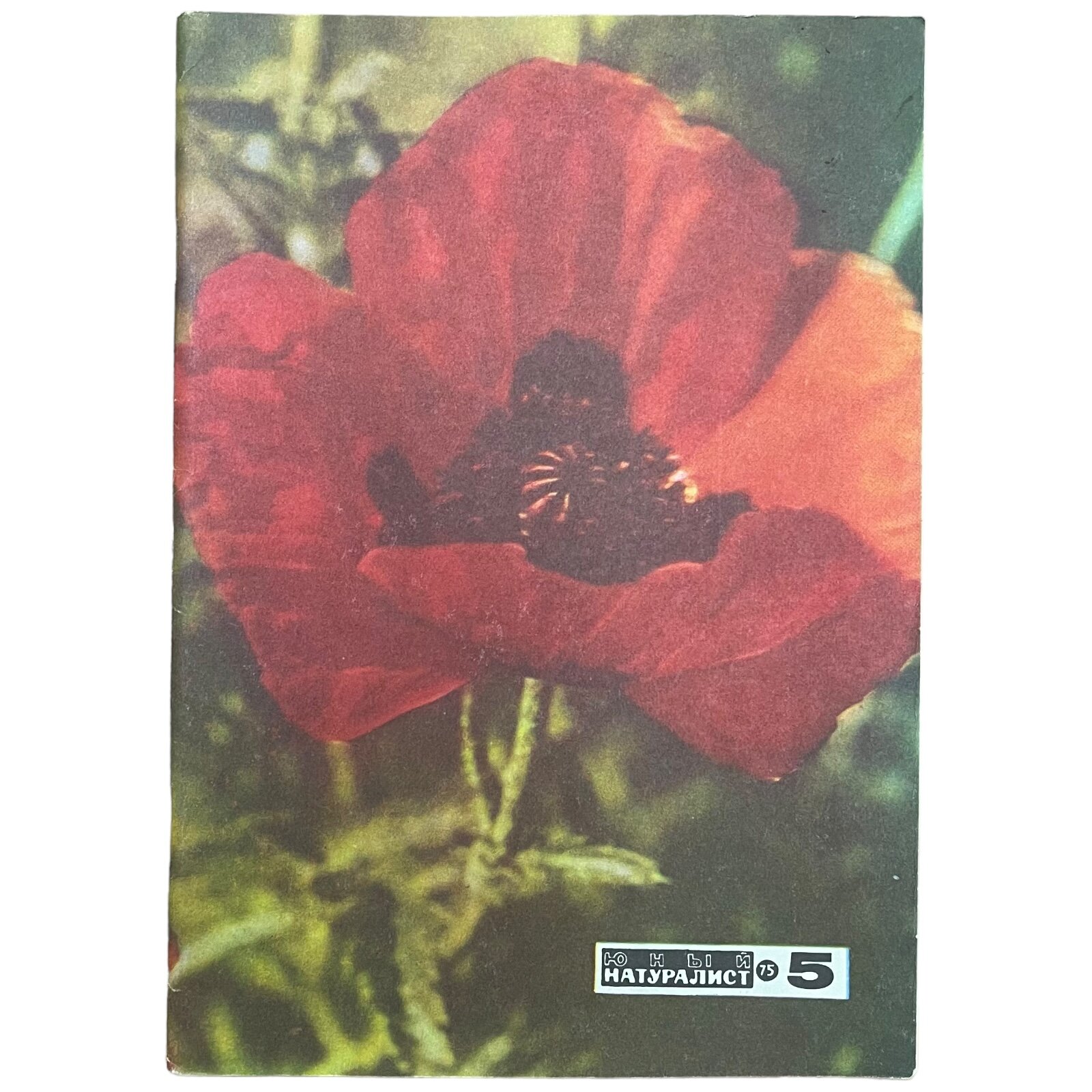 Журнал "Юный натуралист" №5, 1975 г. Изд. "Молодая гвардия", СССР