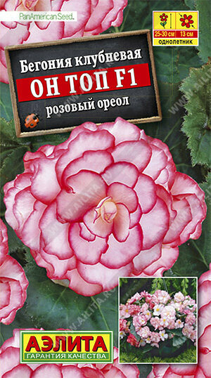 Семена бегонии "Он Топ F1" розовый ореол, 10 упаковок по 5 шт в каждой - эксклюзивный гибрид американской селекции, который отличается роскошными густомахровыми цветками диаметром до 13 см.