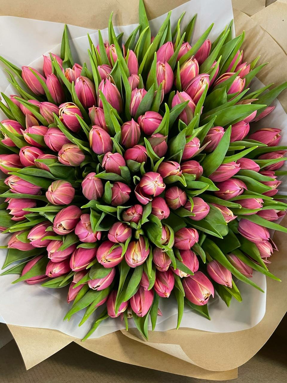 Премиум букет из розовых пионовидных тюльпанов 101 шт, премиум цветы, шикарный, красивый букет цветов, тюльпаны белые.