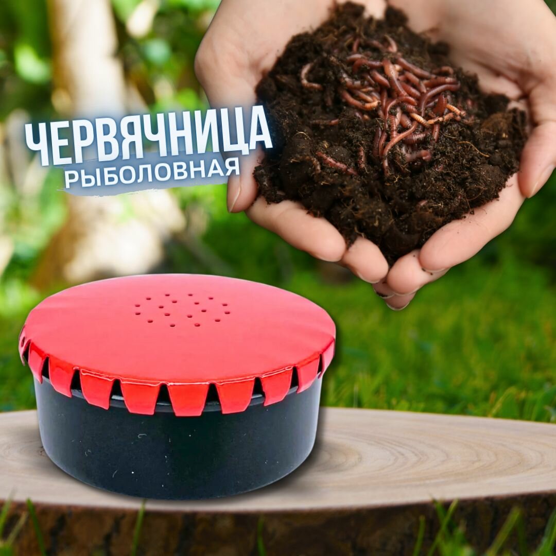 Мотыльница червячница опарышница / контейнер рыболовный 9см*5.5см