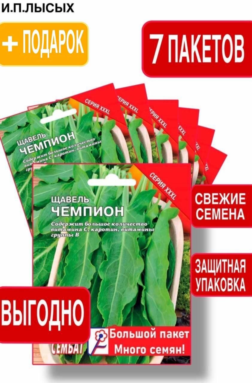 Семена Щавель Чемпион 7шт