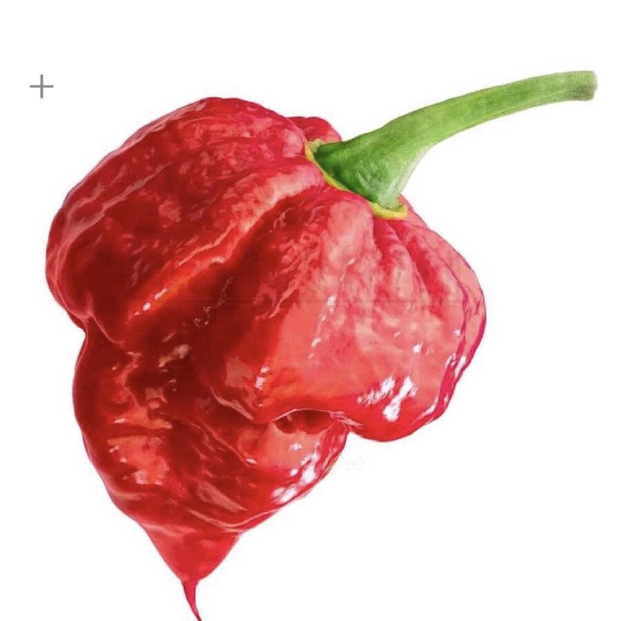 Семена Deodar SEEDS COMPANY Перец острый Trinidad scorpion moruga red 5 шт.