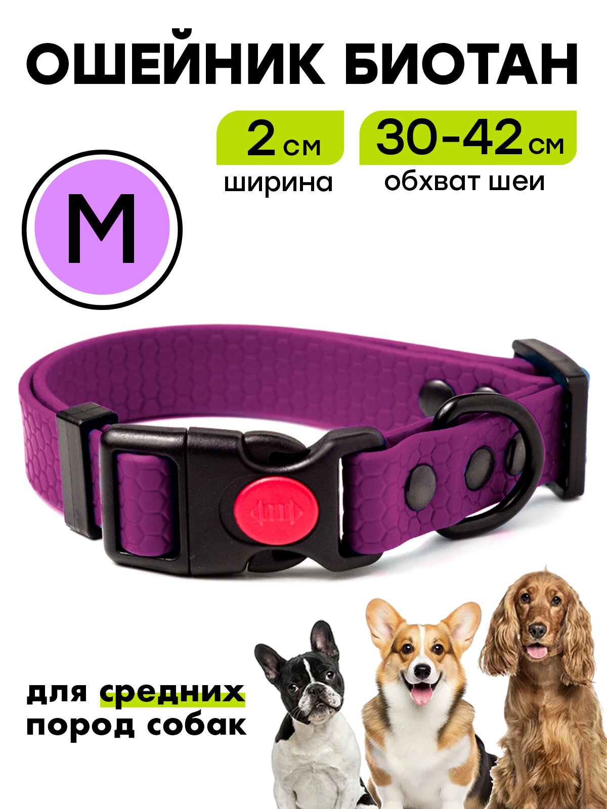 Ошейник из биотана 30-42 см (M), 20 мм, Woofy "Iron" водостойкий, для средних собак, фиолетовый