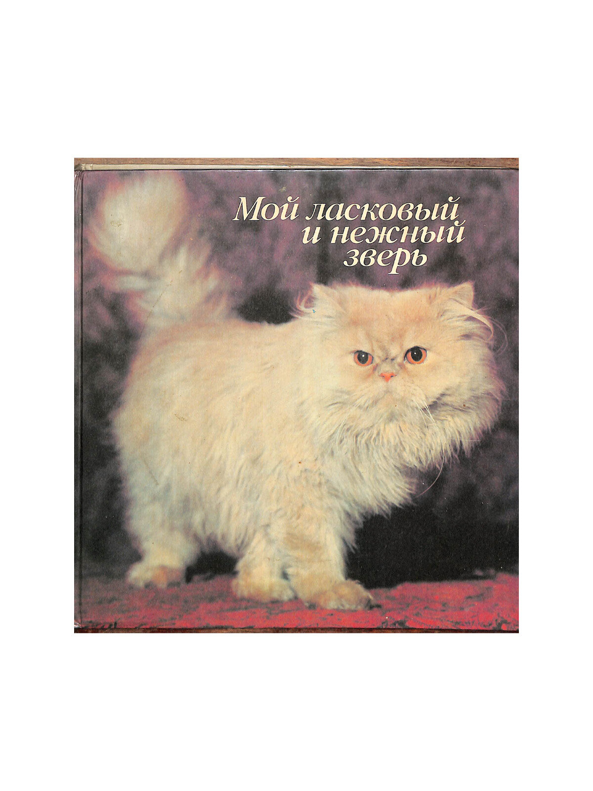 Мой ласковый и нежный зверь