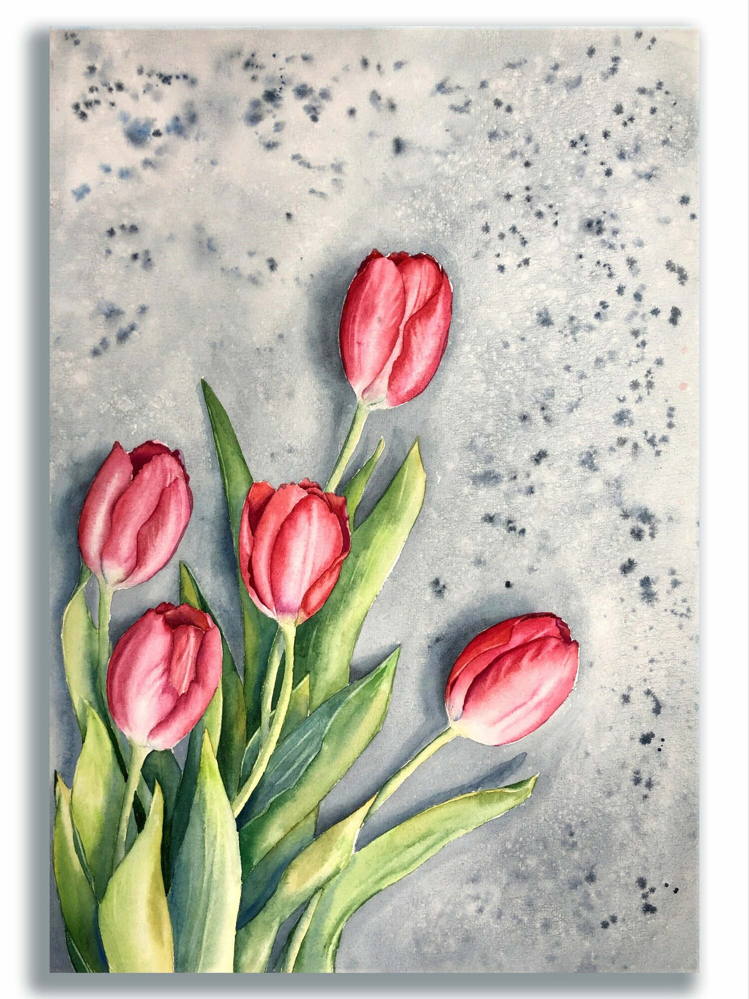 Картина тюльпаны акварелью Авторская ботаническая иллюстрация