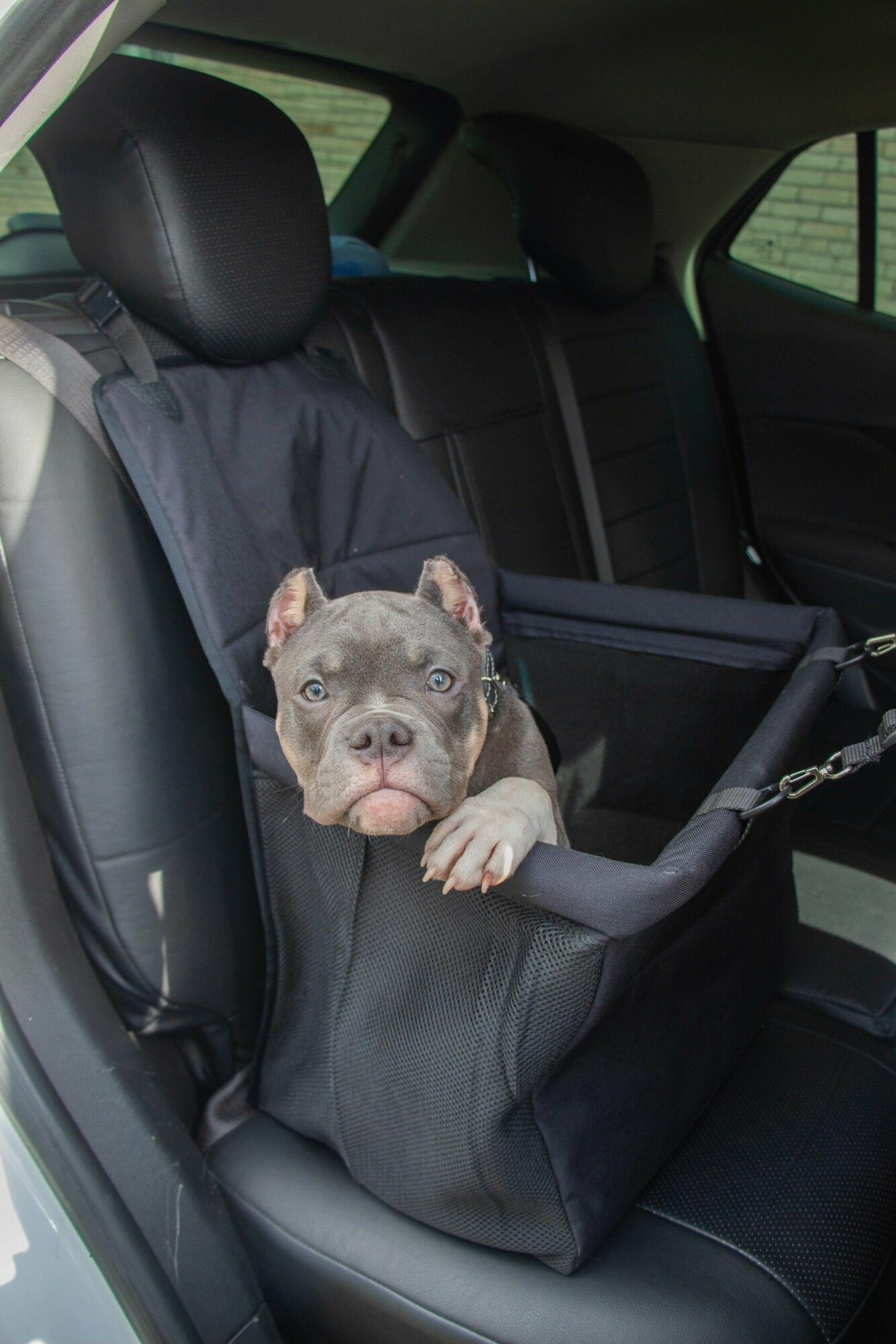 Автогамак для перевозки животных