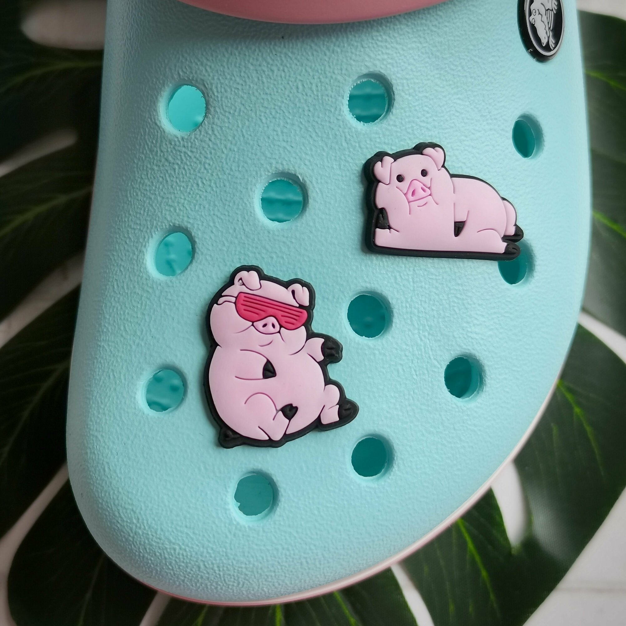 Джибитс свинка