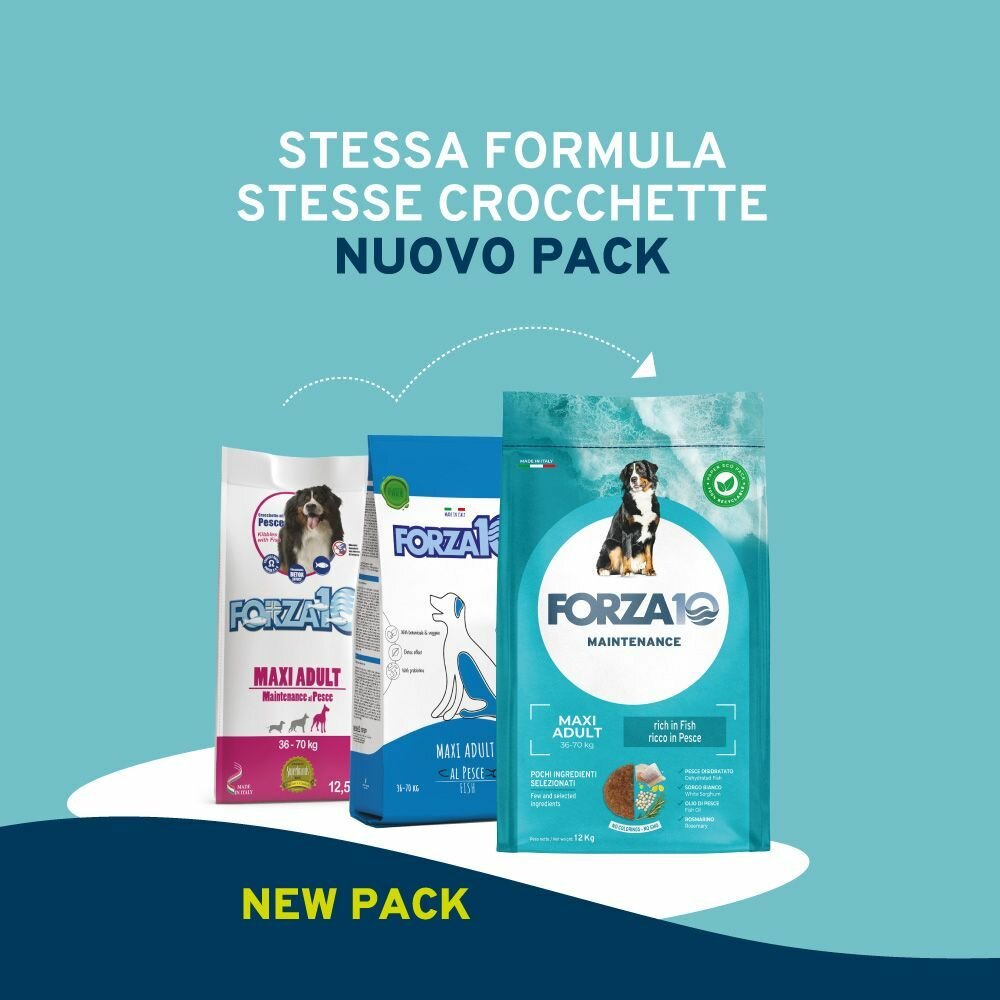 Корм сухой для собак Forza10 Maxi Maintenance для крупных пород с рыбой, 12 кг