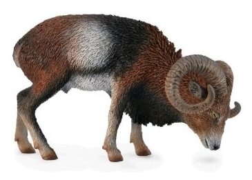 Европейский муфлон