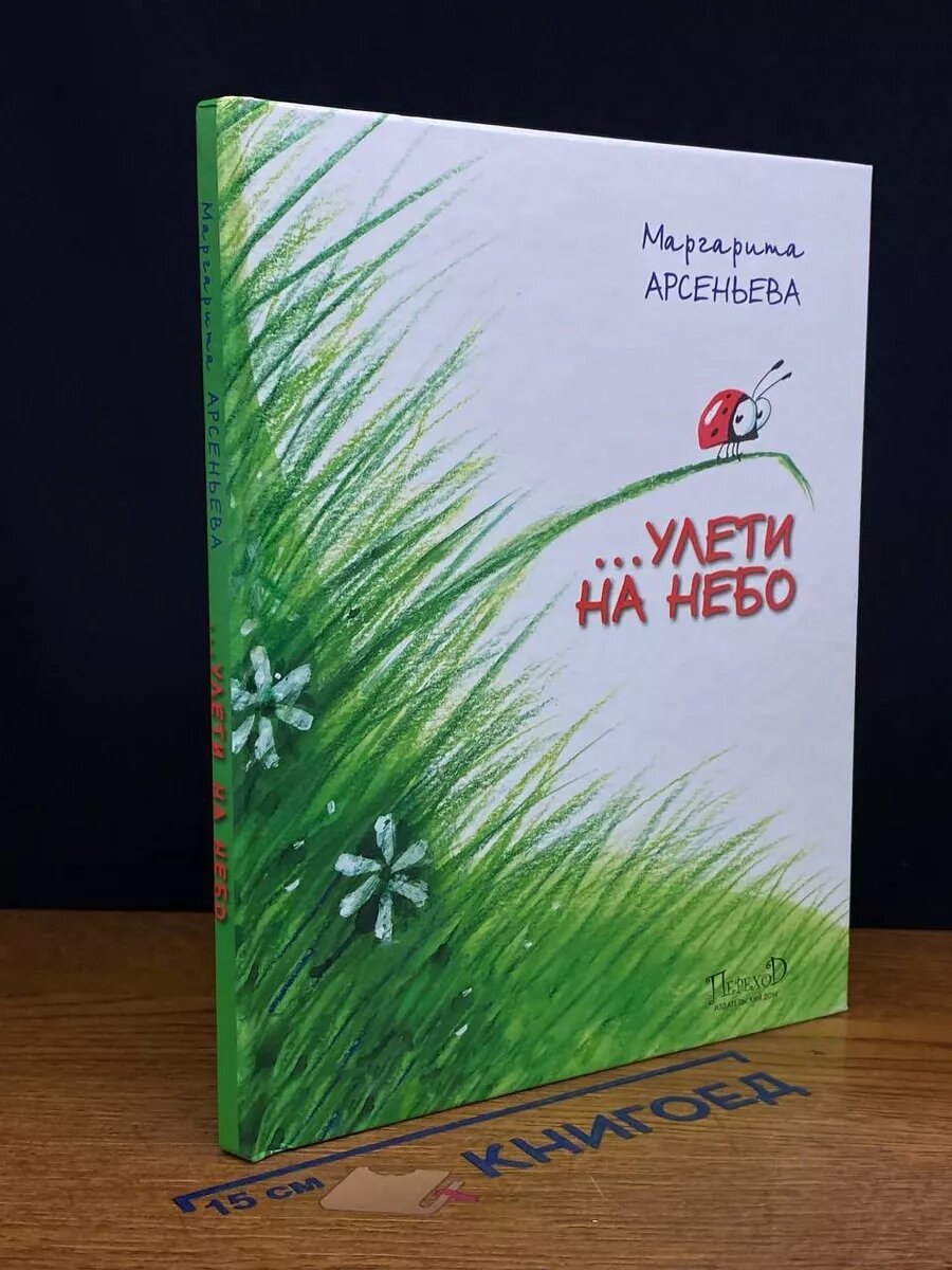Книга. Улети на небо 2013 (2040928007536)