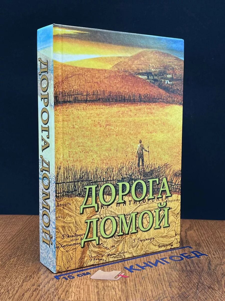 Книга. Дорога домой 2011 (2040770928553)