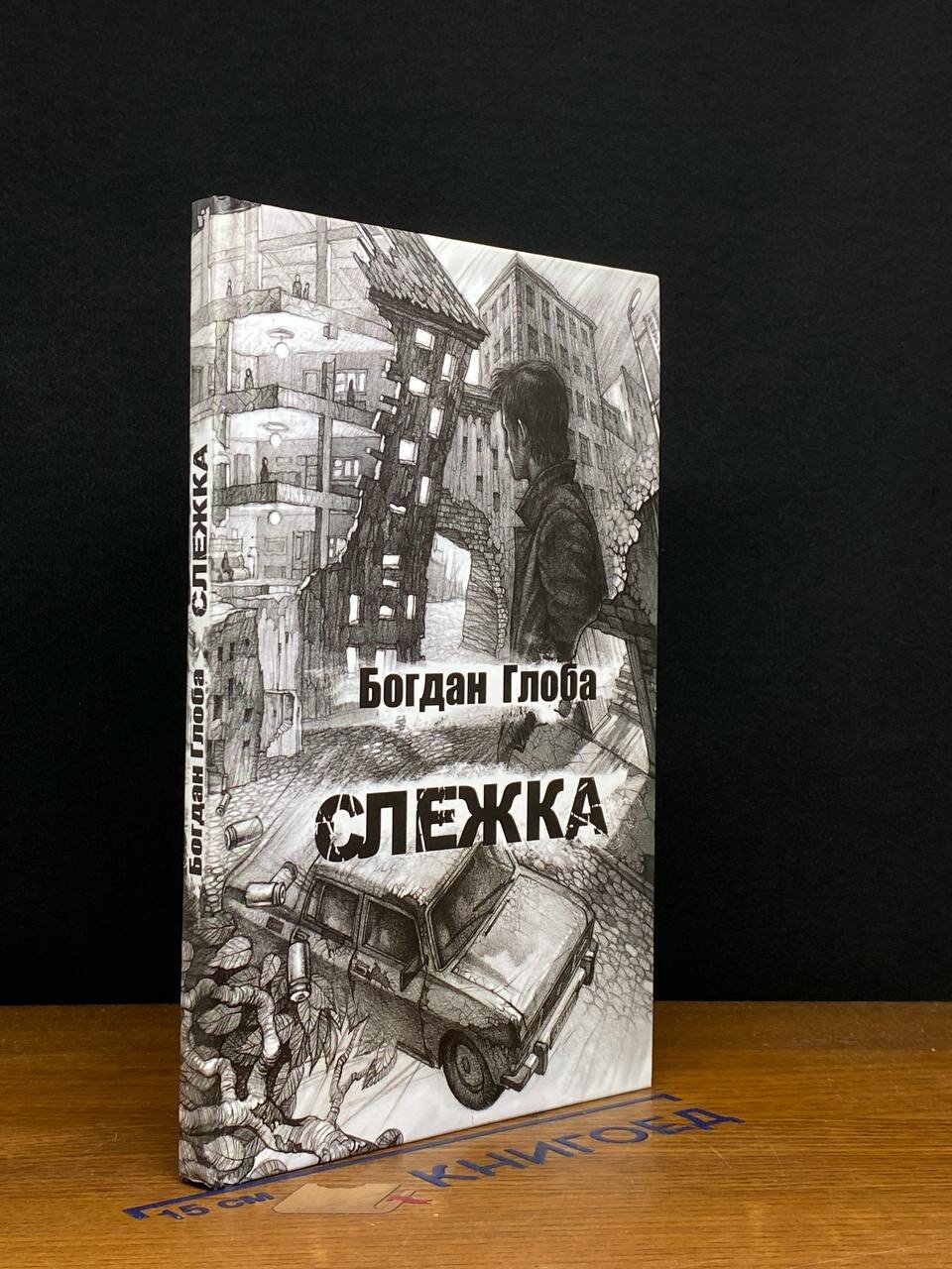 Книга. Слежка 2011 (2041593836995)