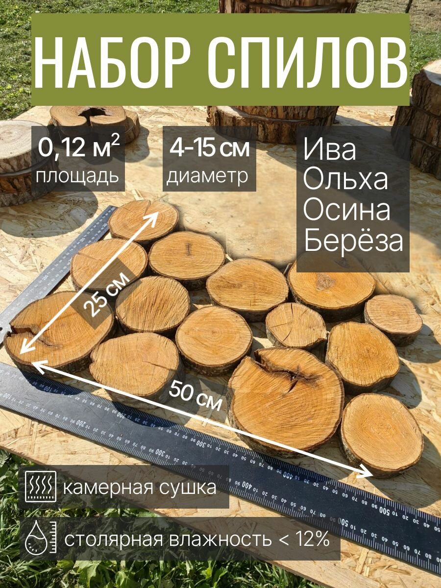 Набор спилов камерной сушки, d 4-14 см. h-3 см S-0.12 кв. м . для дизайна, творчества, трудов и декора.