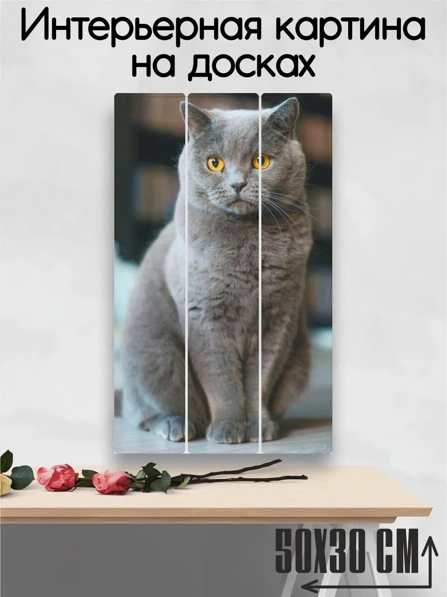 Интерьерная картина на досках "Британская кошка "