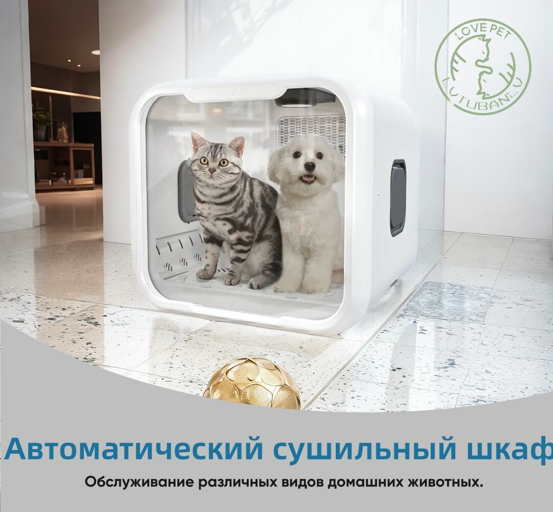 Фен для сушки шерсти животных, Коробка для сушки домашних животных, автоматическая машина для выдувания воды для кошек