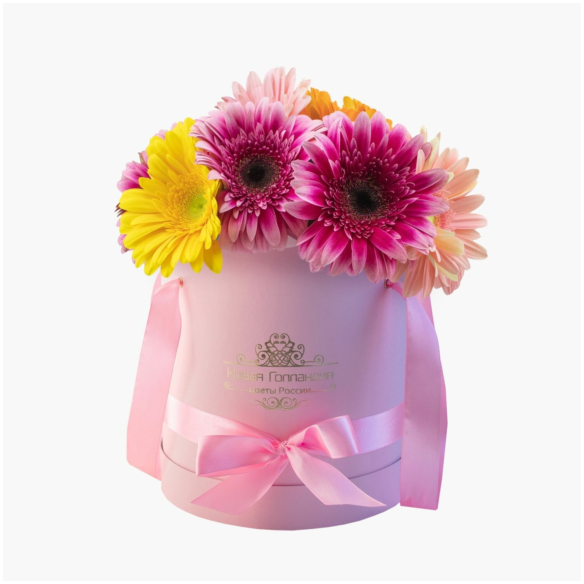 11 гербер в розовой шляпной коробке №685
