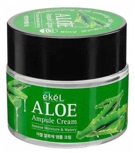 Ekel Ampule Cream Aloe Крем для лица с алоэ, 70 мл + подарок (маска для губ)