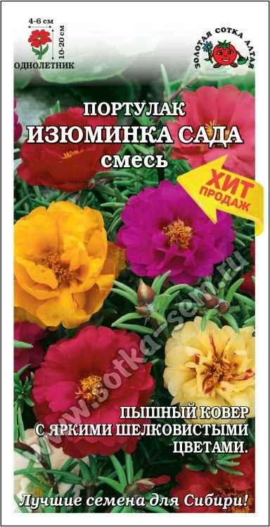 Семена портулак "Изюминка сада" (смесь) 10 упаковок по 0,1 гр - с узкими мясистыми листочками, сплошь покрываясь махровыми шелковистыми цветками, застилает пестрым ковром цветники.