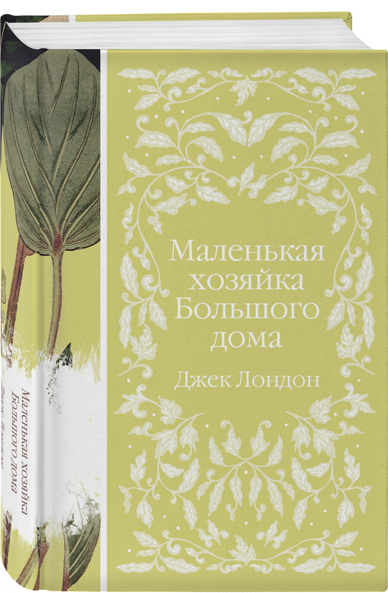 Маленькая хозяйка Большого дома