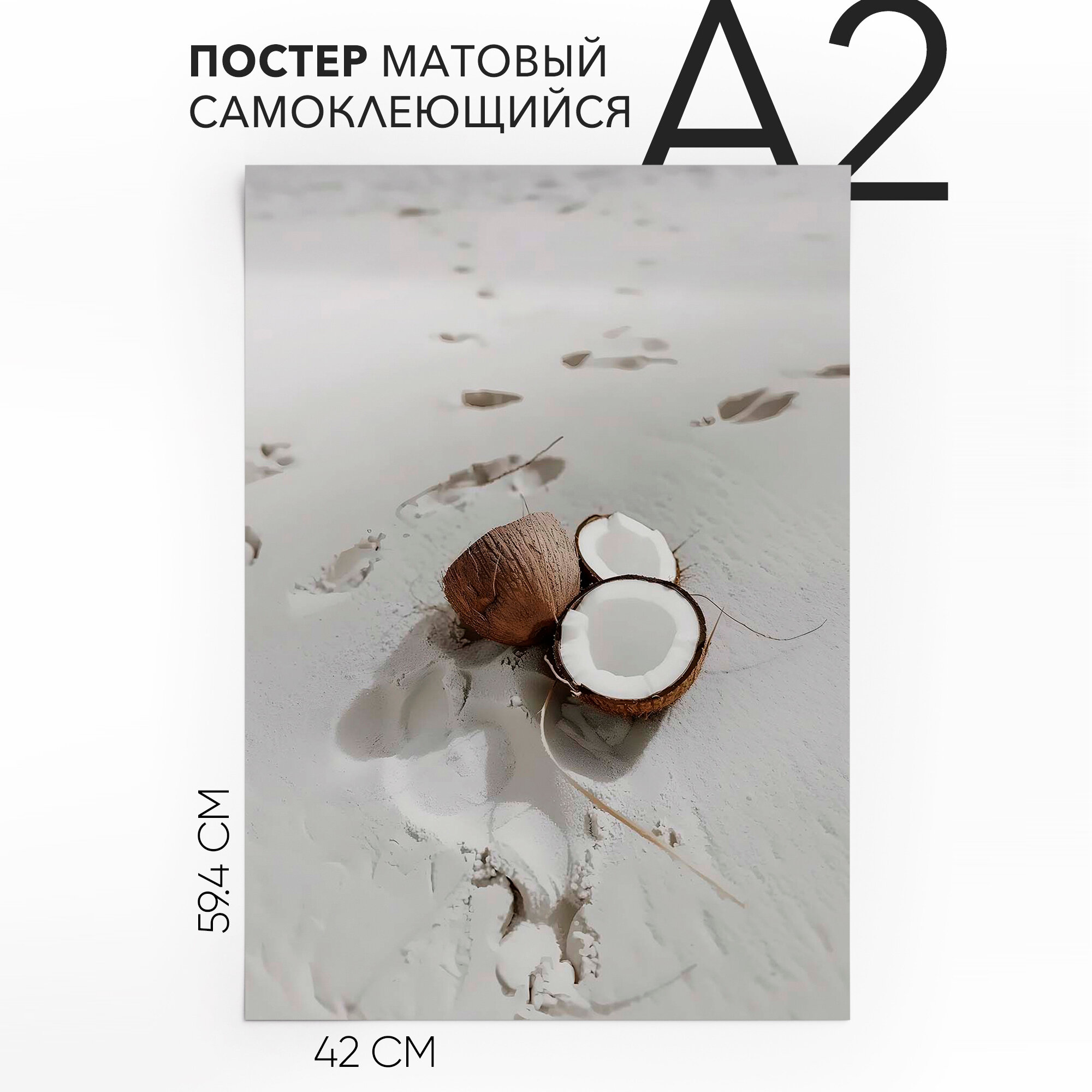 Постер интерьерный самоклеящийся, большой A2 Кокос, влагостойкий, для декора