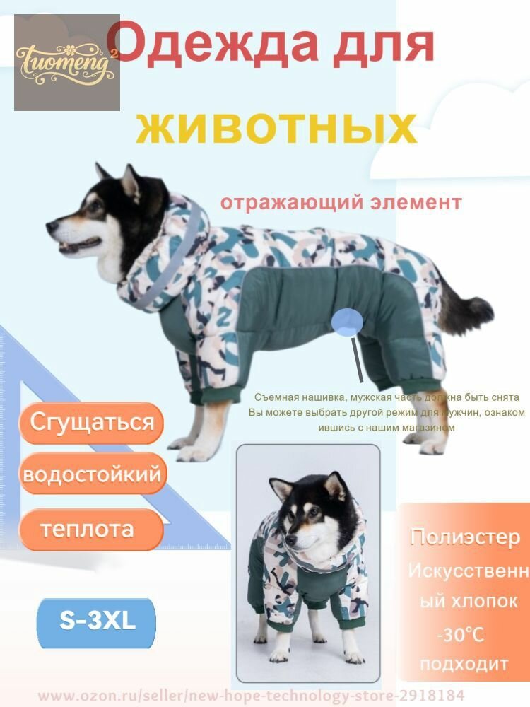 Одежда для животных
