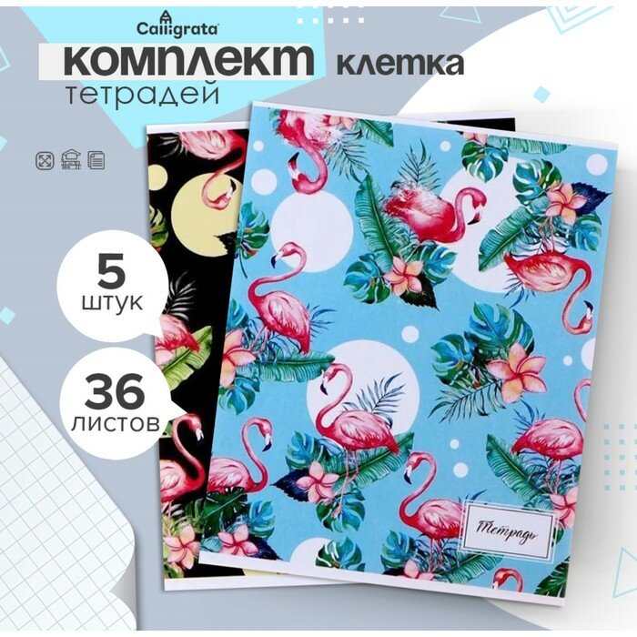 Компл тетр из 5 шт, 36л кл Фламинго, обл мел карт, блок офсет (4167914) 7726144