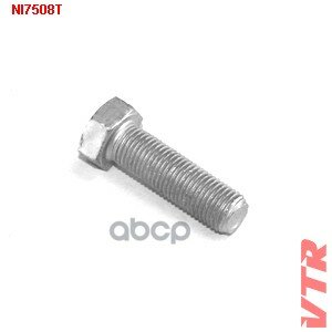 Болт рычага VTR арт. NI7508T