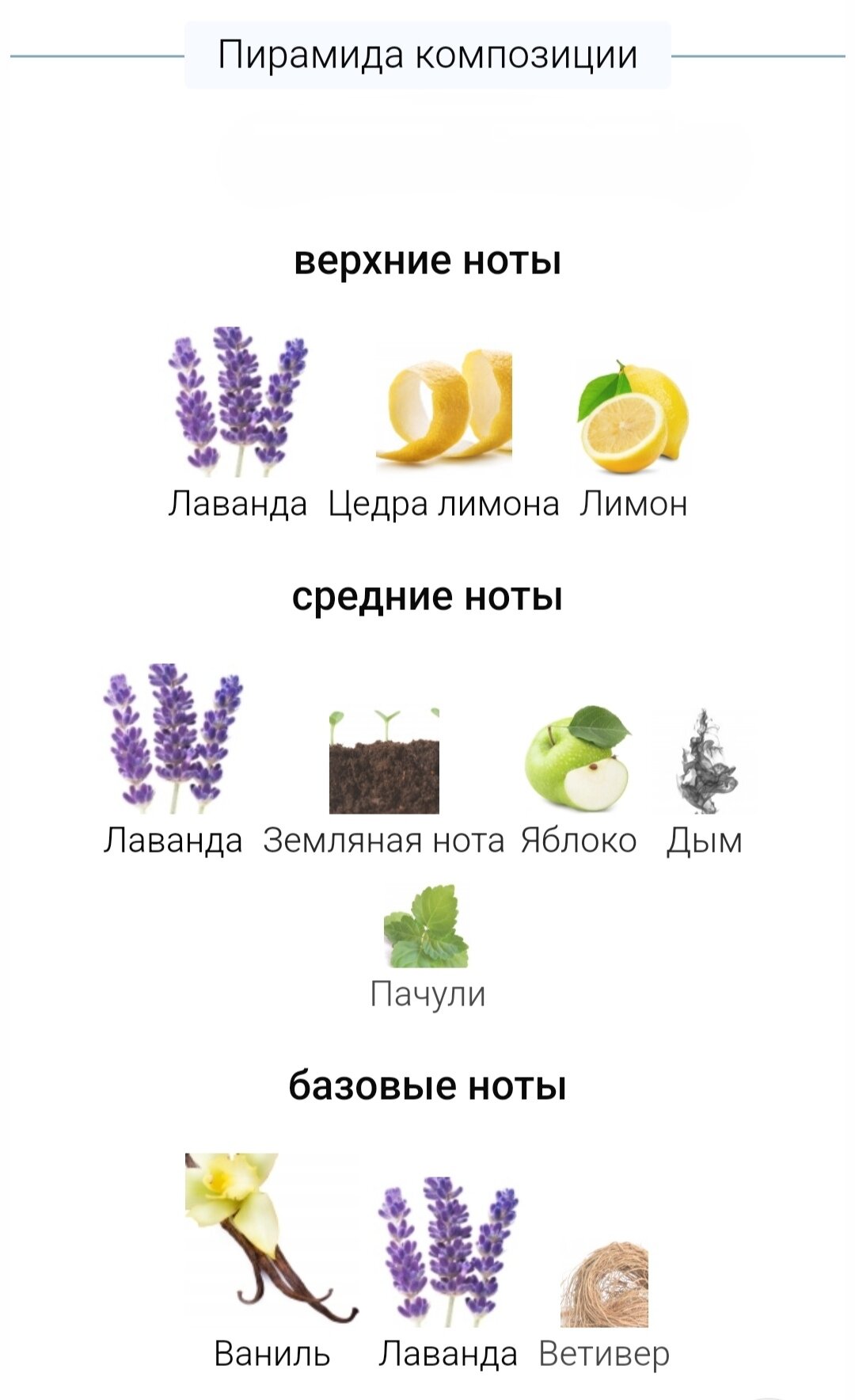 Духи ручной работы по мотивам 'Phantom', для мужчин Lu Parfume — фото 1