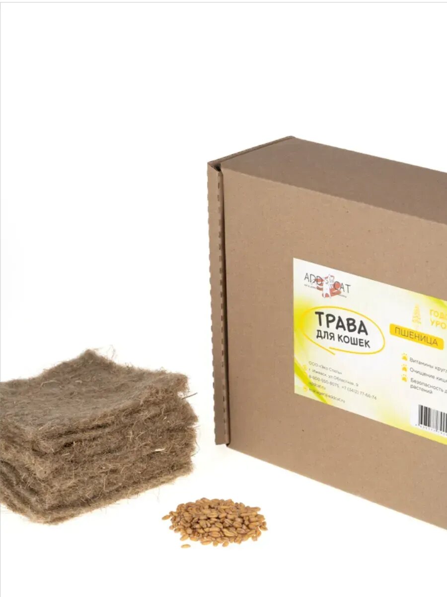 Трава для кошек годовой запас пшеница