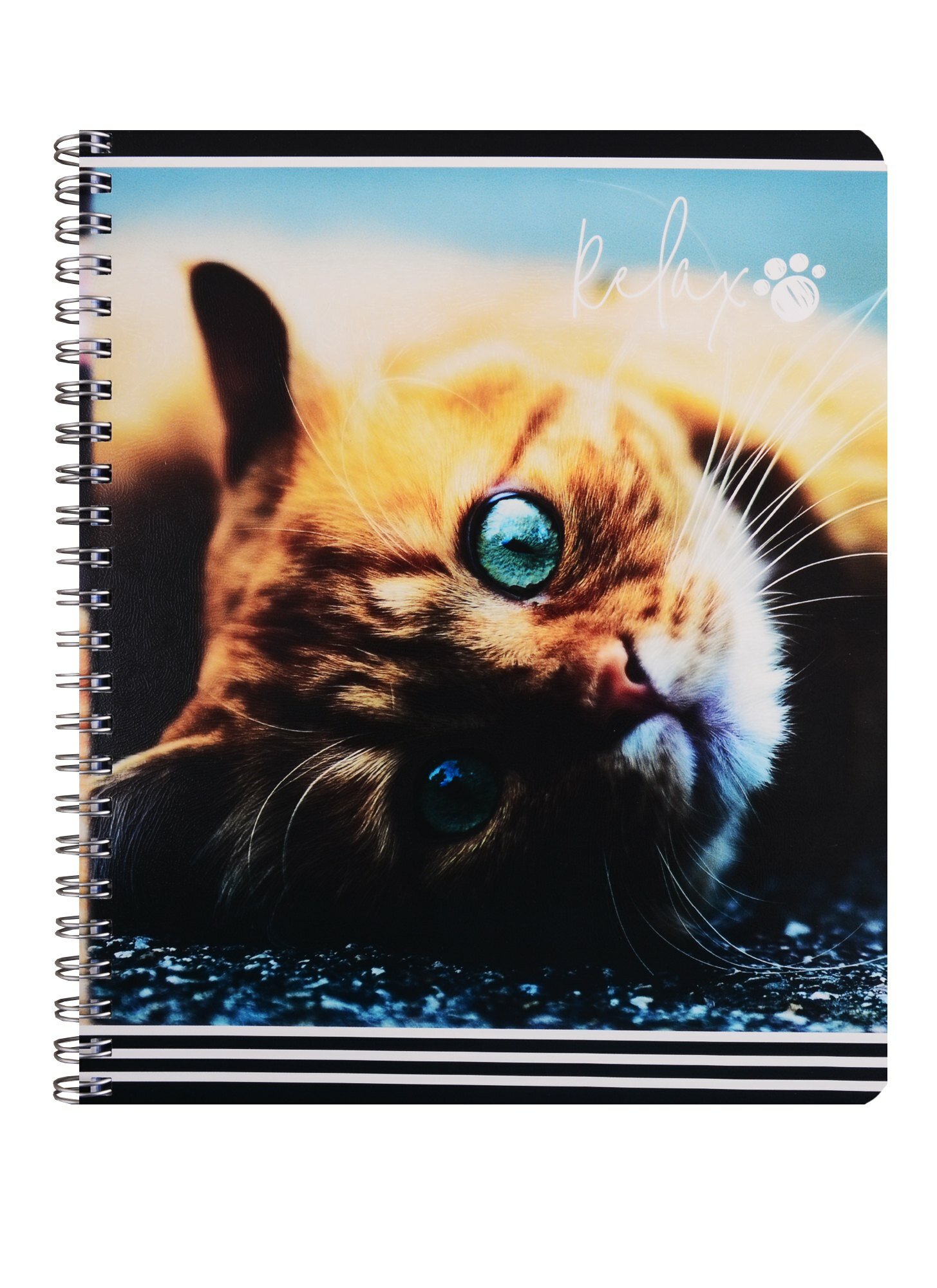 Тетрадь в клетку Academy Style, "Рыжие кошки", 80 листов, в ассортименте