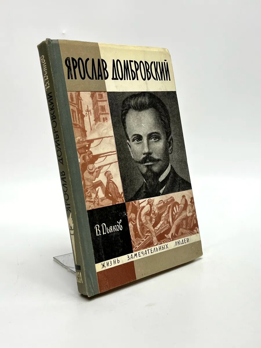 Владимир Анатольевич Дьяков. Ярослав Домбровский
