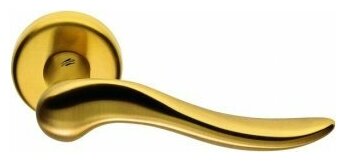 Дверная ручка на круглом основании COLOMBO Peter ID11RSB-OM матовое золото