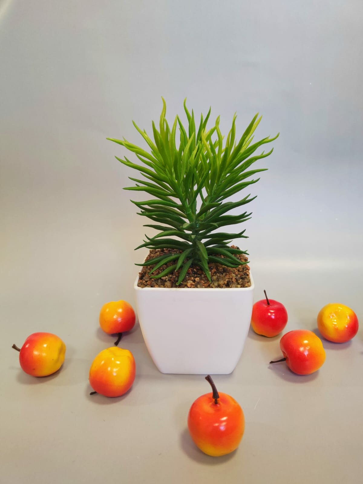 Искусственные растения, Суккулент Седум в кашпо.