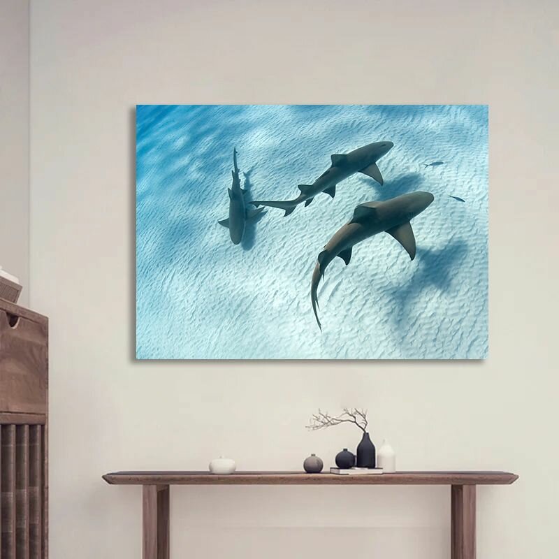 Картина ВсеКартины. тут "Акула", интерьерная, на холсте, на деревянном подрамнике, 20x30 см