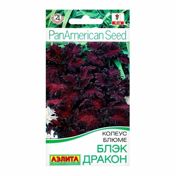 Семена цветов Колеус блюме "Блэк дракон", ц/п, 5 шт 10838871
