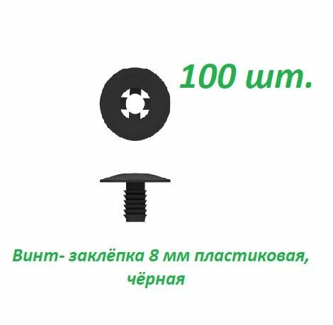 Заклепка пластиковая QUICK LOCK 8 мм. черная, 100 шт.