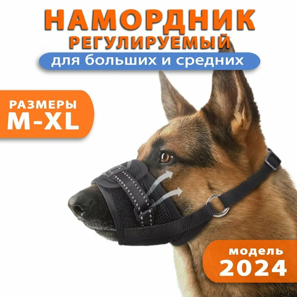 Намордник