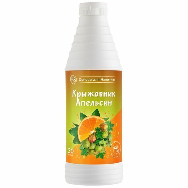 Основа для напитков ProffSyrup Крыжовник-Апельсин 1кг