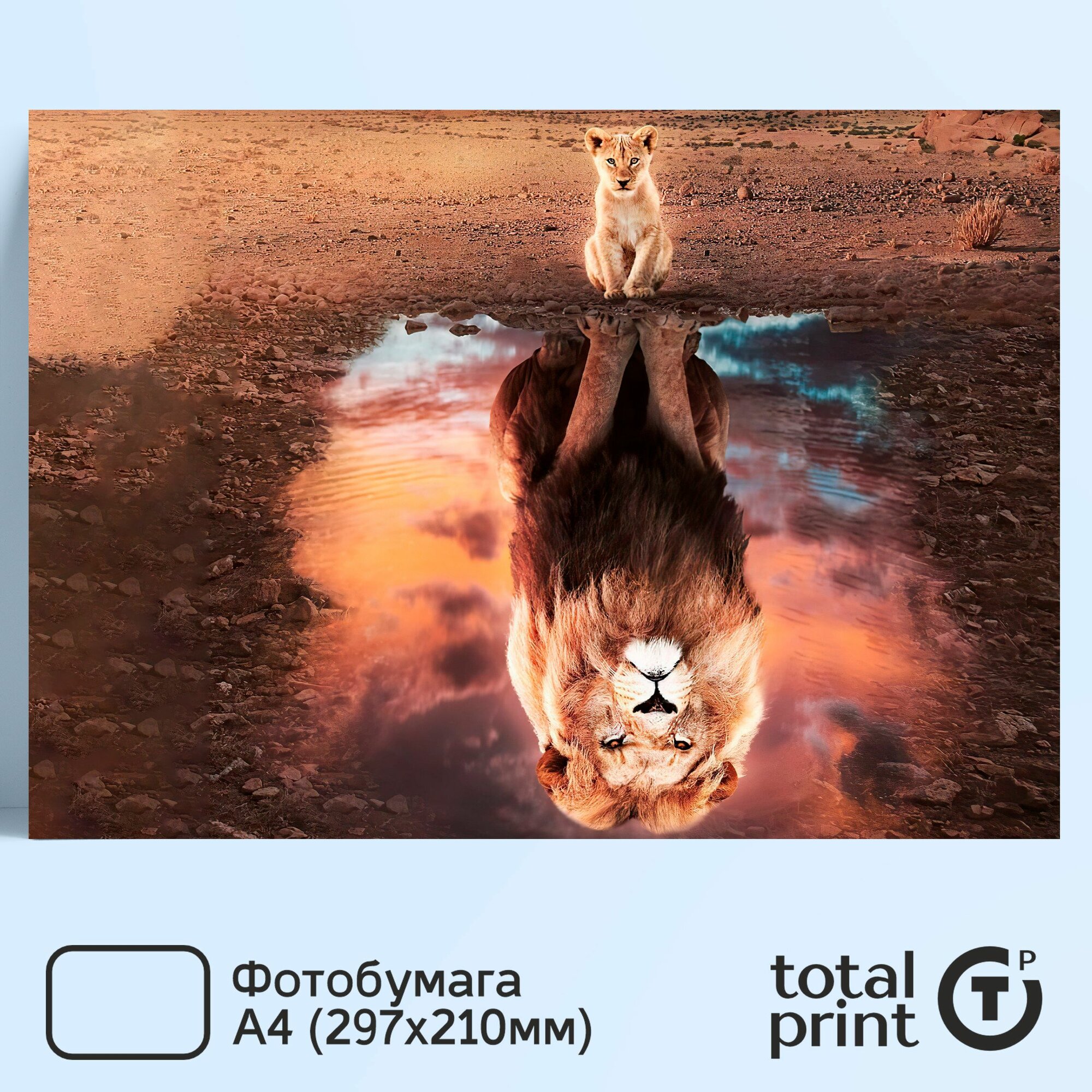 TotalPrint Постер для интерьера, Король Лев, А4(21х29.7см)