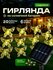 Электрогирлянда