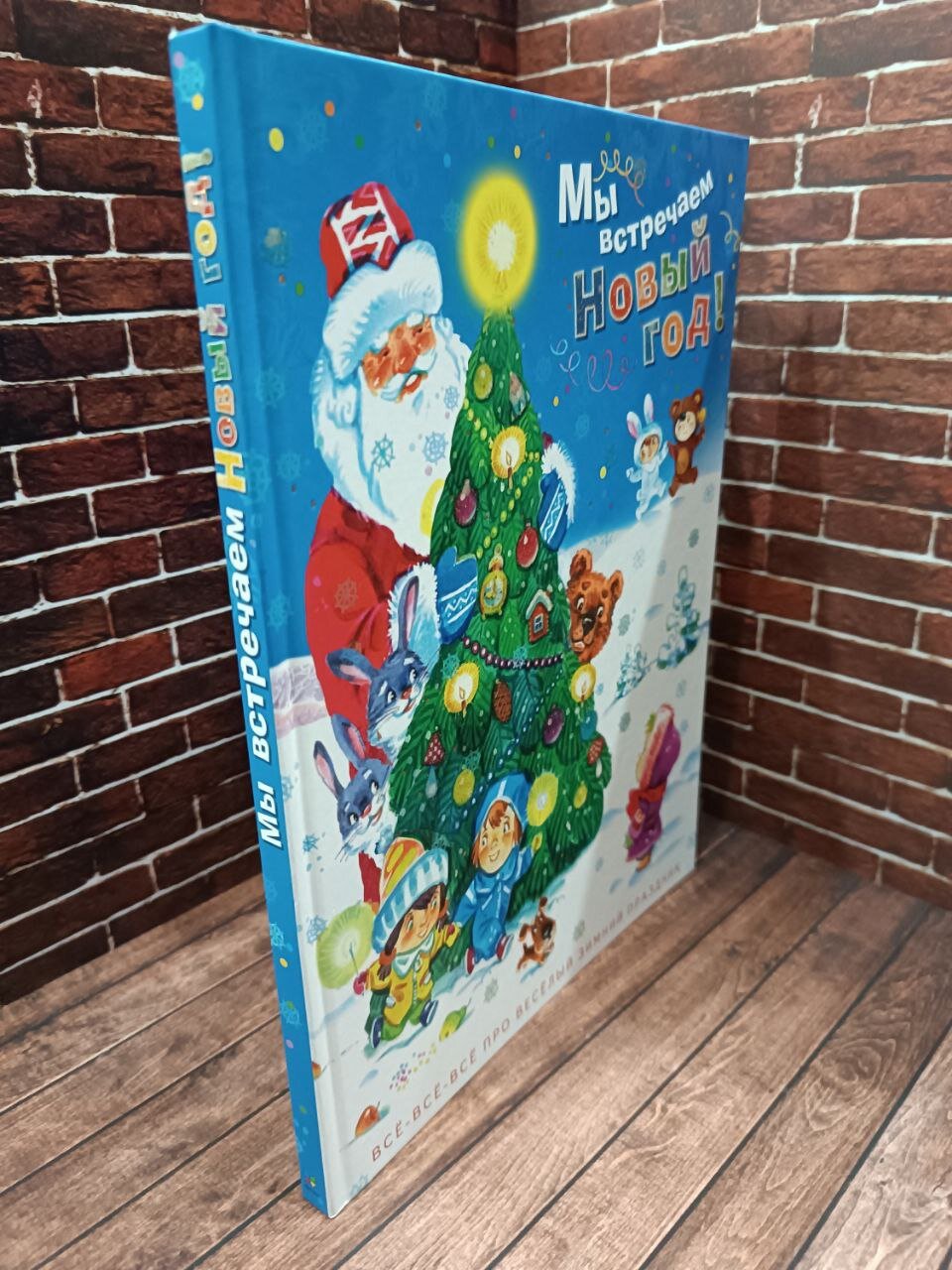 Мы встречаем Новый год! 2009 год