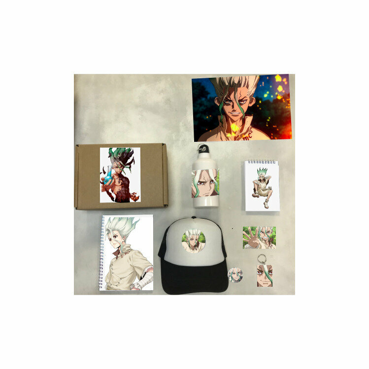 Бокс GOODbrelok принт "Доктор Стоун, Dr. Stone" - DS0008