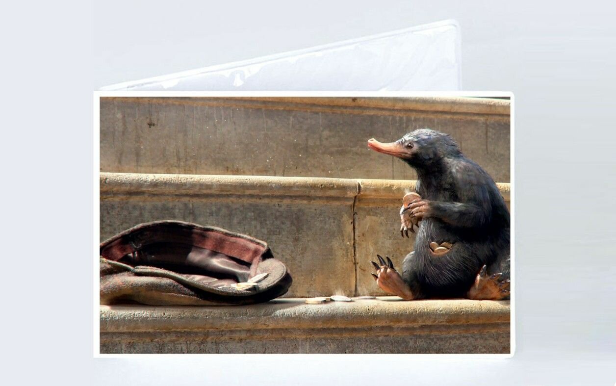 Картхолдер