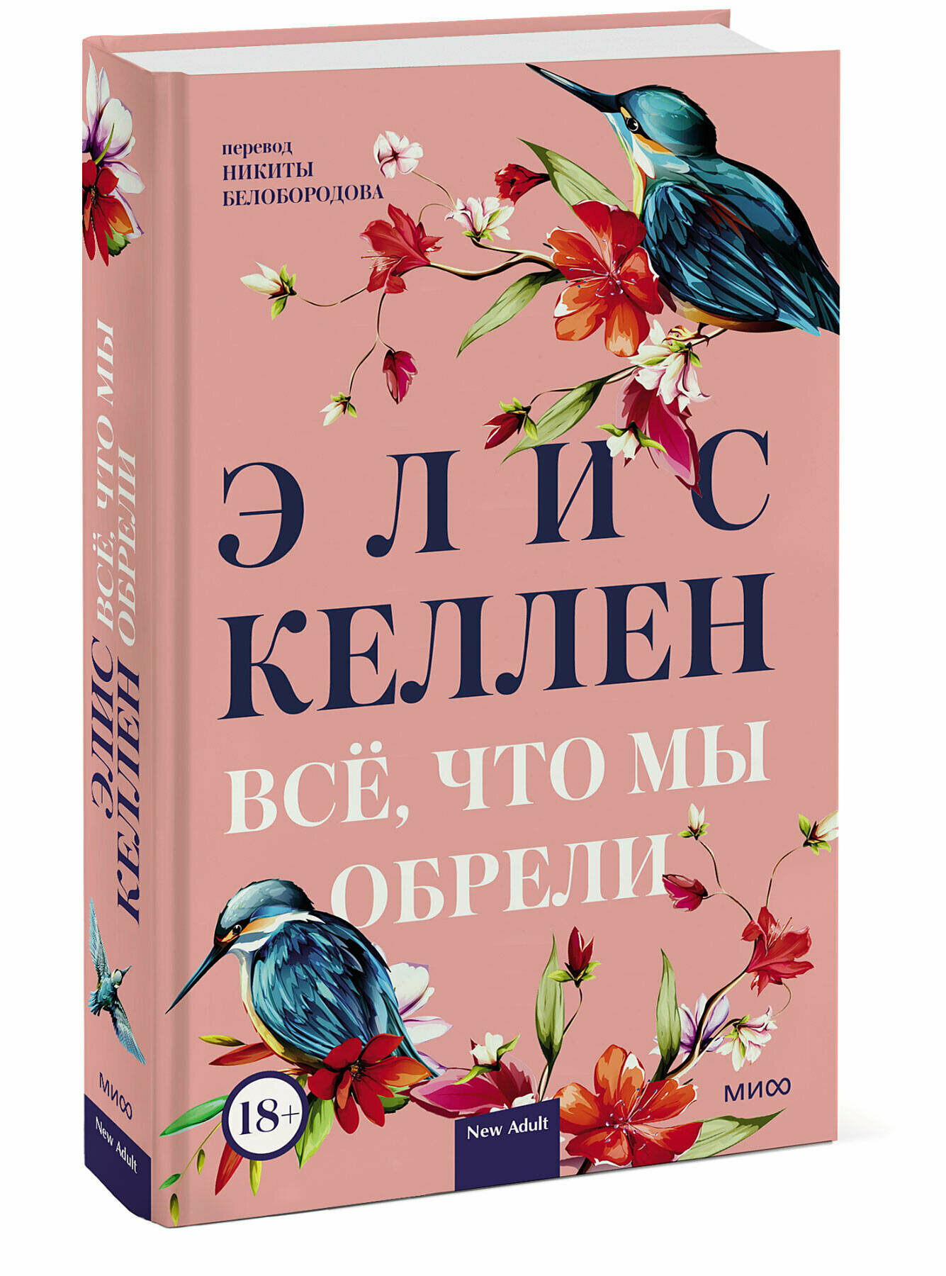 Элис Келлен. Всё, что мы обрели