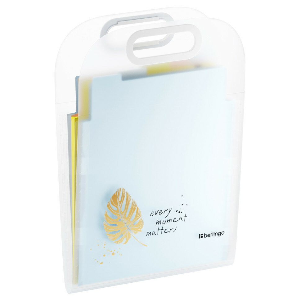 Папка 6 отделений Berlingo "Eco", А4, вертикальная, с ручкой, 650мкм, прозрачная, с рисунком, 357011