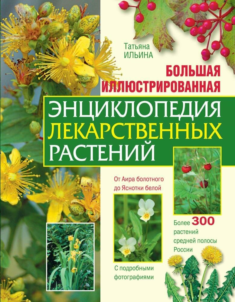 Большая иллюстрированная энциклопедия лекарственных растений (Ильина Т. А.)