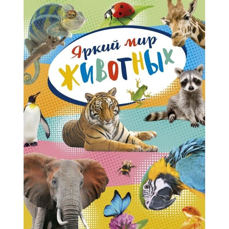 Книга Machaon Яркий мир животных. 2022 год, К. Балле