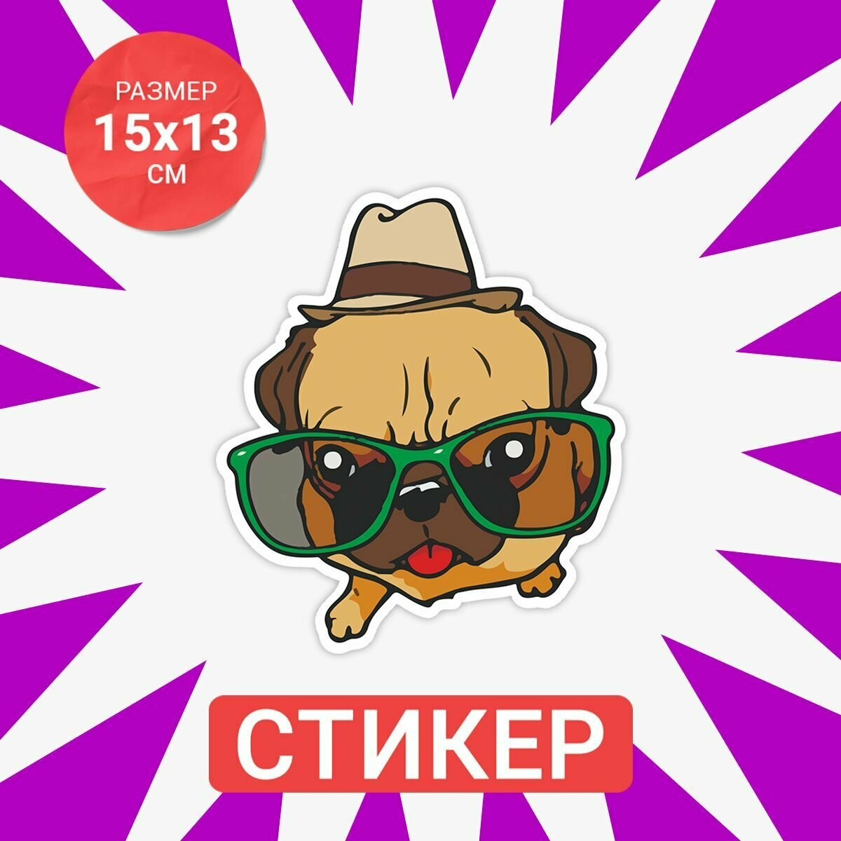 Цветная интерьерная наклейка 15х13 Dog with glasses